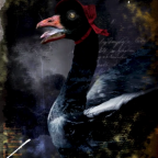 Profiles | Fantasy Feeder